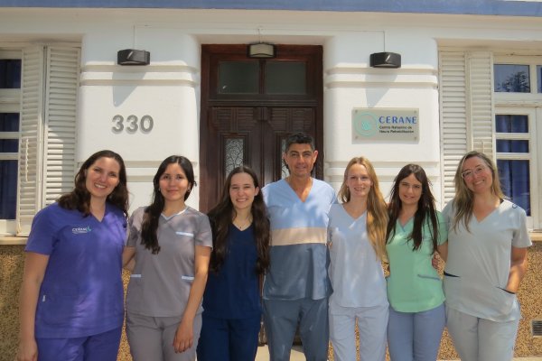CERANE cumple 20 años brindando un servicio de neurorehabilitación de ...